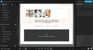 Adding A Flodesk Inline Form To Your Showit Blog - Teri-Ann Tagget